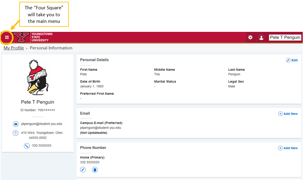 Change View Personal Information YSU